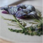 Hand Embroidery Artists you HAVE to Follow | School of Stitched Textiles