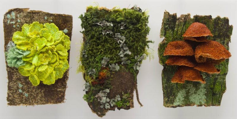 Textile Artists Inspired by Nature You HAVE To Follow | SST