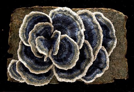Textile Artists Inspired by Nature You HAVE To Follow | SST